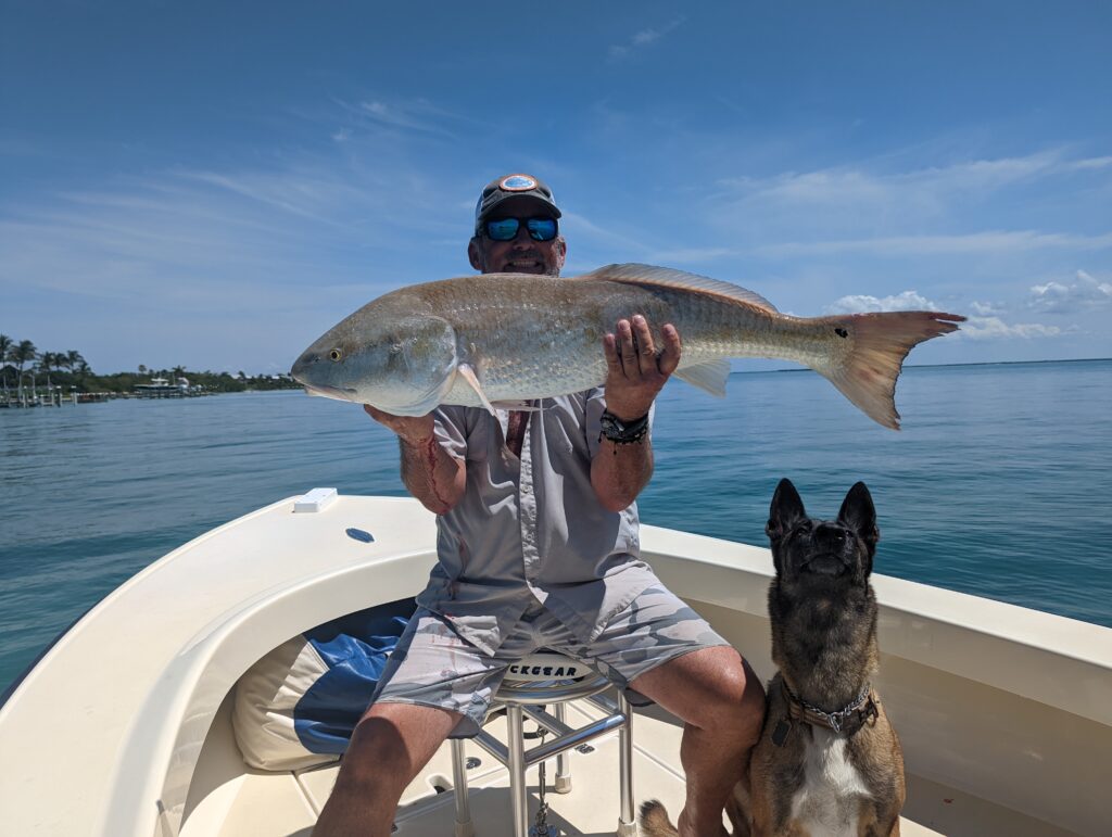 Fly Fishing for Redfish in Tampa Bay This Fall