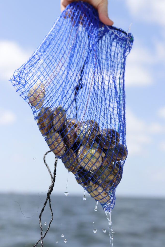 Discover the Magic of Scalloping - West Coast Fishing Charters